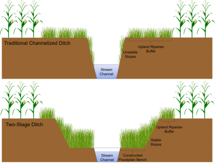 Two-stage ditches reduce nitrogen pollution while draining farmfields ...