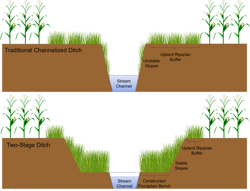 Two-stage ditches reduce nitrogen pollution while draining farmfields ...