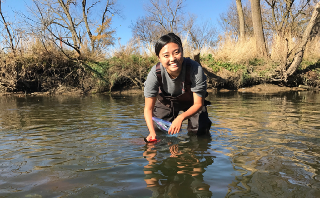 From South Korea to America: How Lisa Kim embraced her cultural ...