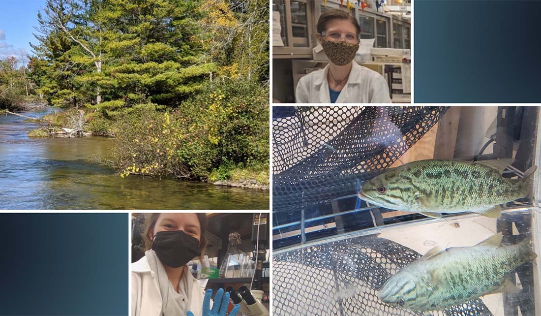 Research in the time of COVID: How scientists adapted to the pandemic ...