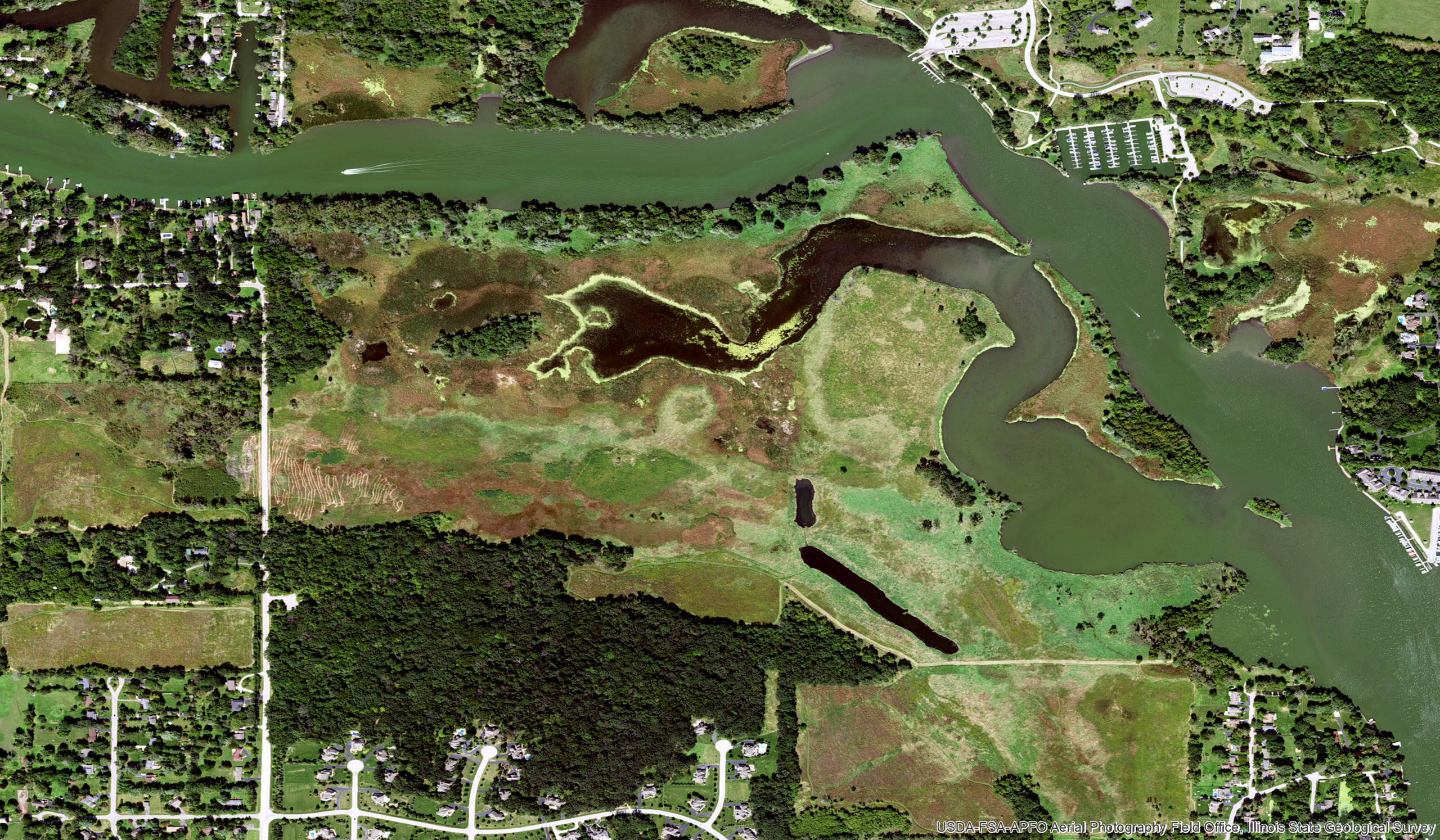 Remote sensing data provides a bigger picture for monitoring restored ...