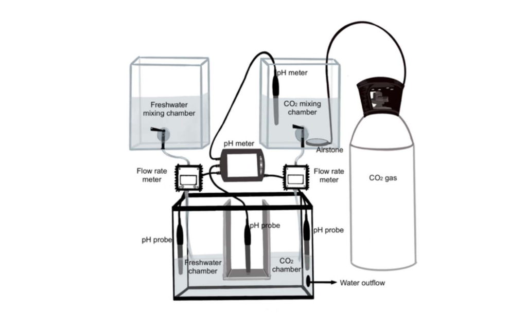 Research Q&A: Using barriers to stop the spread of aquatic invasive ...
